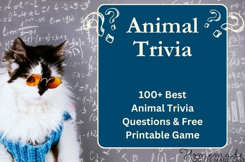 108 Animal Trivia Questions for Kids and Adults (with answers)