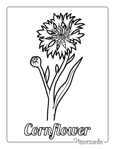 Free Flower Coloring Pages for Kids & Adults