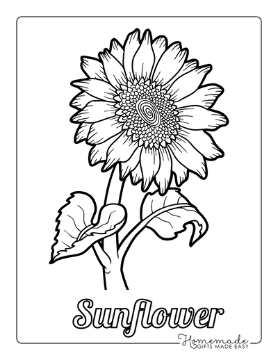Free Flower Coloring Pages for Kids & Adults