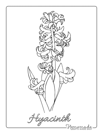 Free Flower Coloring Pages for Kids & Adults