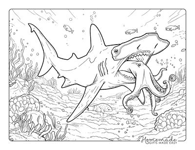 Hammerhead Shark Coloring Page 24 Hammerhead Shark Coloring Pages