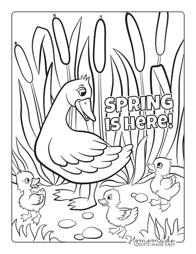 Free Animal Coloring Pages for Kids