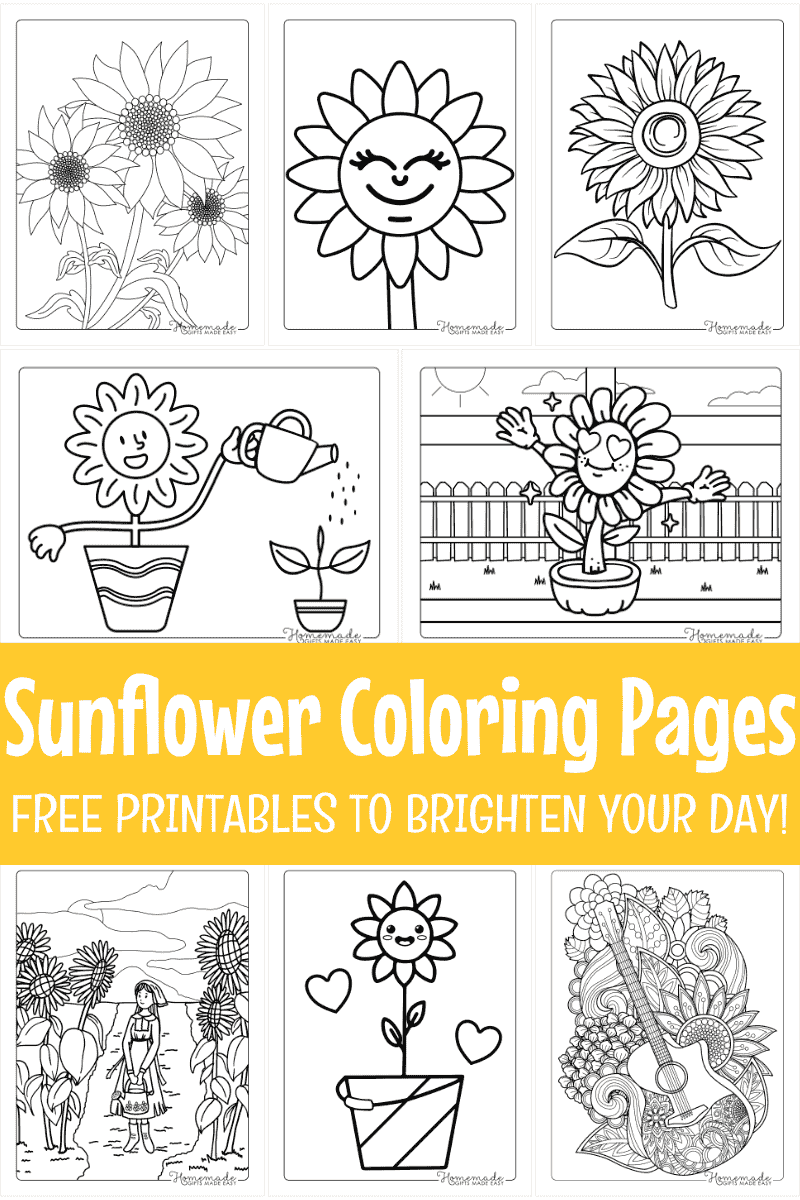 Sunflower Coloring Pages Printables for Kids and Adults (Printable PDFs)