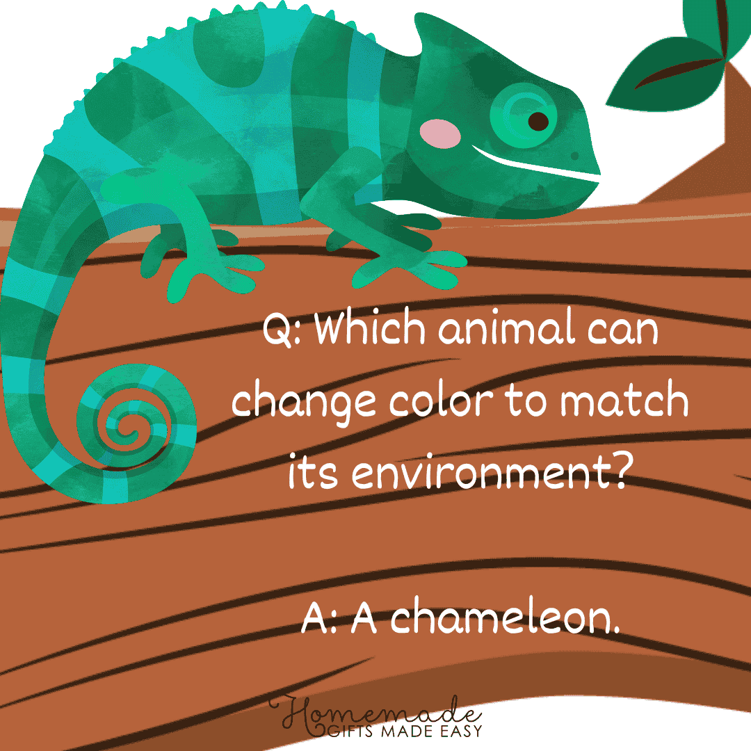 108 Animal Trivia Questions for Kids and Adults (with answers)