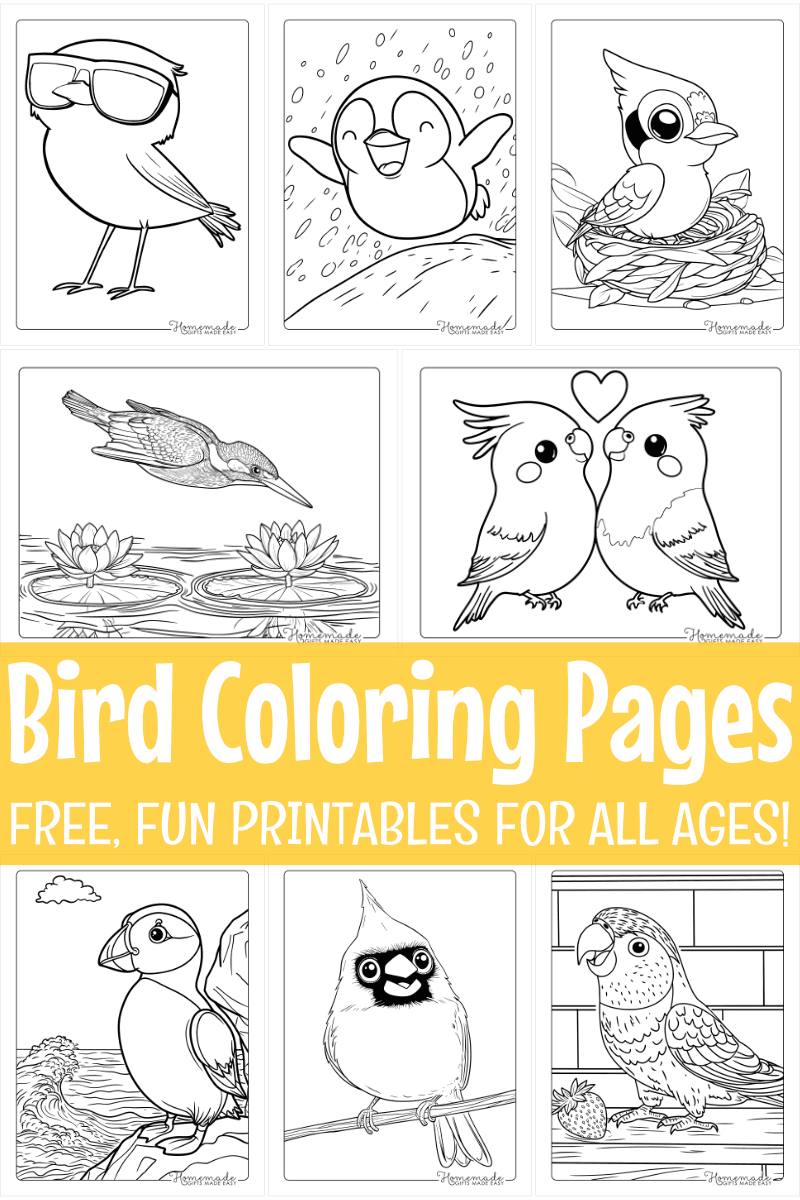 Free Printable Bird Coloring Pages for Kids & Adults
