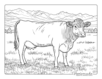 Free Cow Coloring Pages for Kids & Adults (PDF Printables)