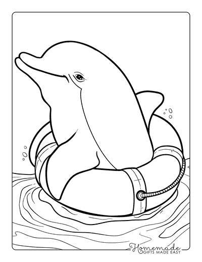 Free Dolphin Coloring Pages for Kids & Adults (PDF Printables)