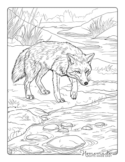 Free Printable Fox Coloring Pages for Kids & Adults