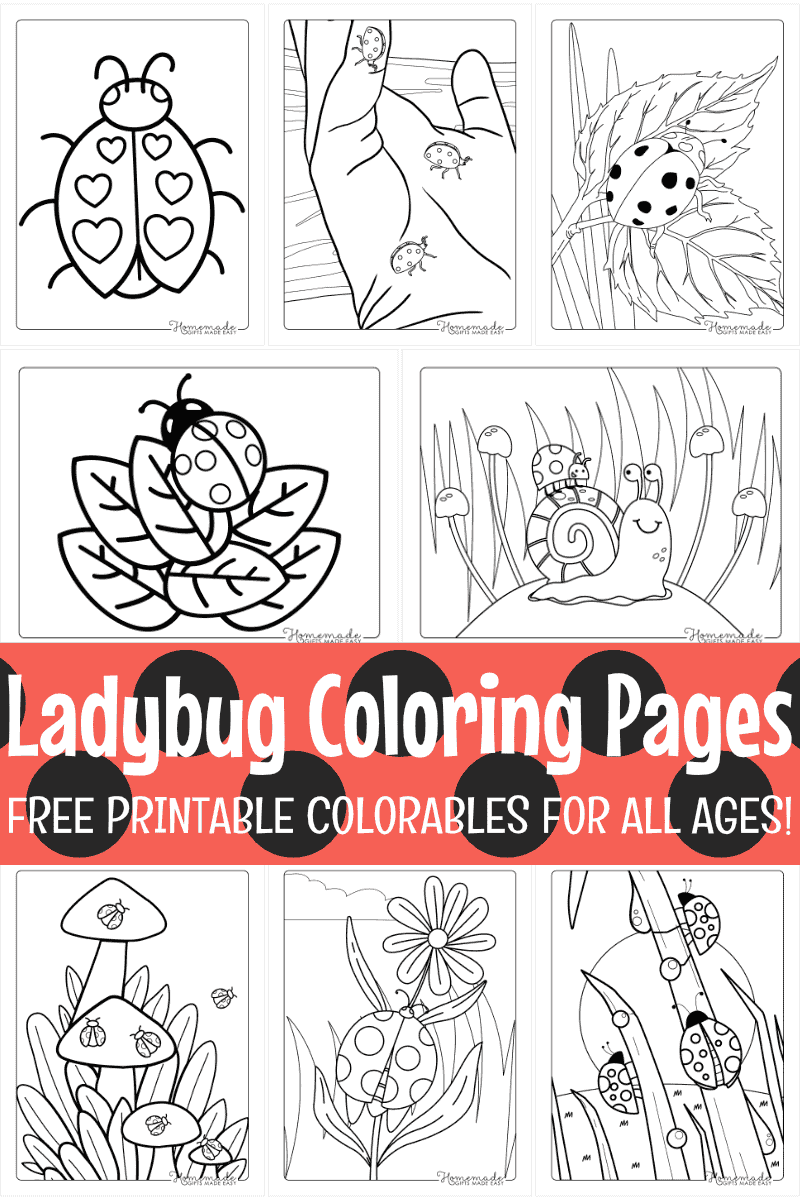 Free Ladybug Coloring Pages (Printable PDFs)