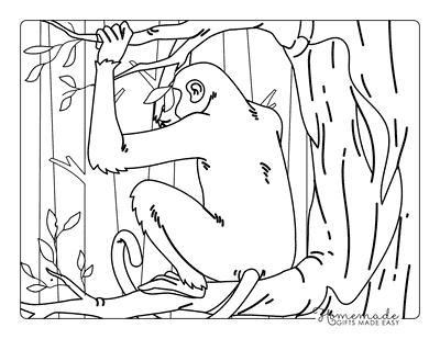 Free Monkey Coloring Pages Printables