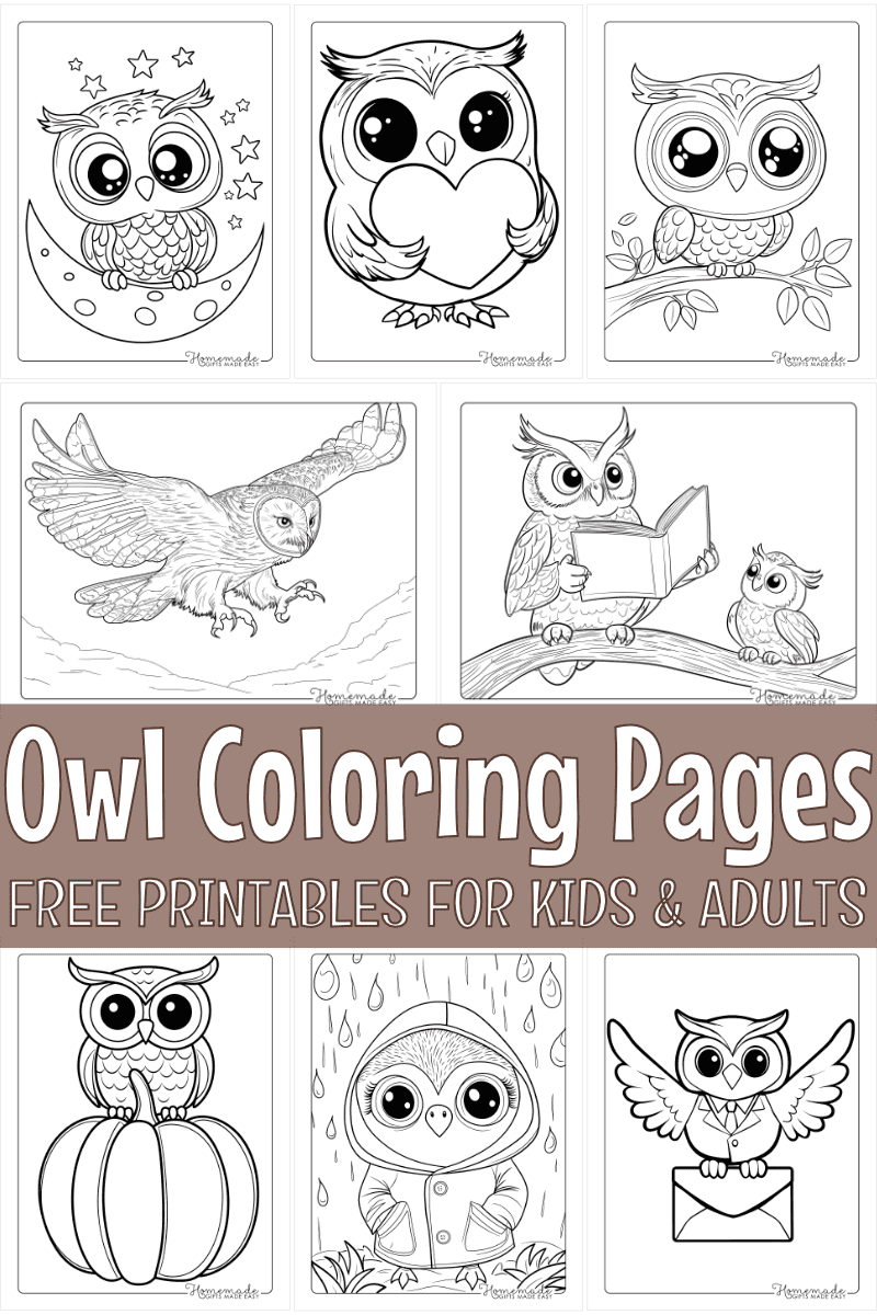 Printable Owl Coloring Pages (Free PDF)