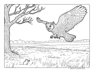 Printable Owl Coloring Pages (Free PDF)