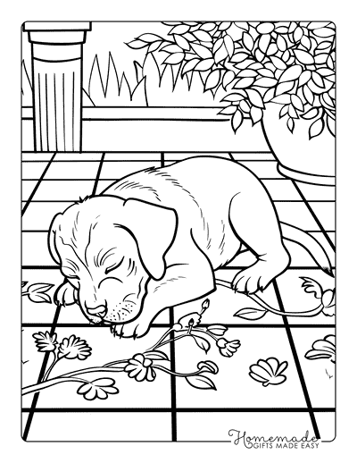 Free Puppy Coloring Pages for Kids & Adults (PDF Printables)