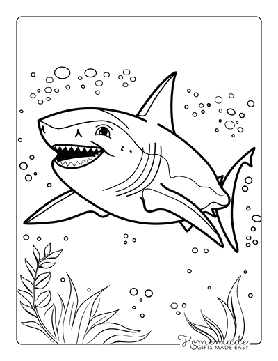 Printable Ocean Coloring Pages (free PDFs)