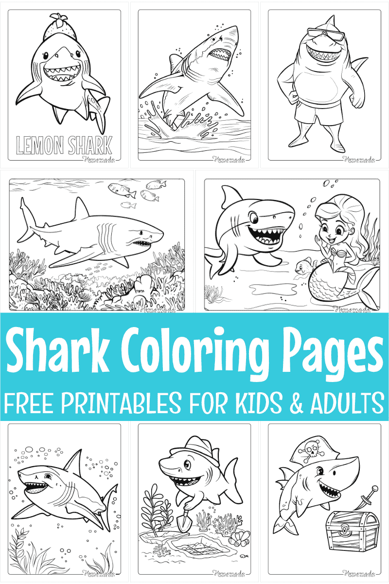 Free Shark Coloring Pages for Kids & Adults (PDF Printables)