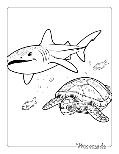 Printable Ocean Coloring Pages (free PDFs)