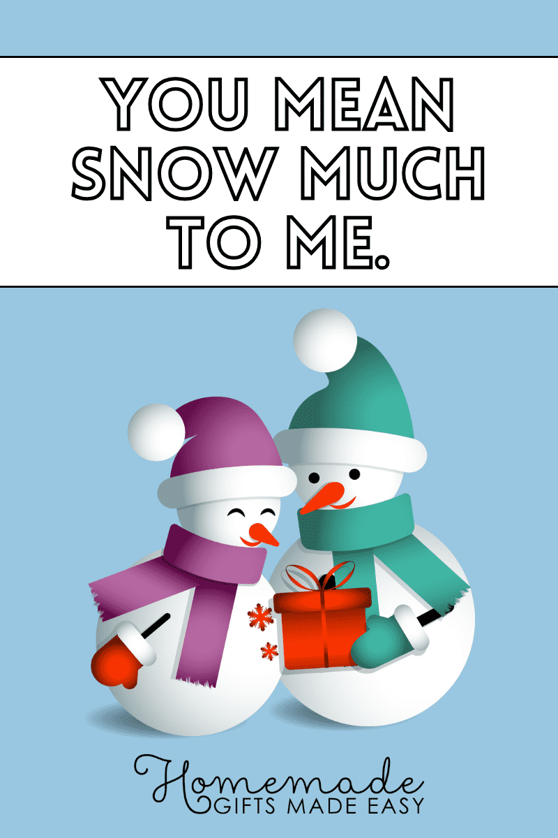 160 Best Snow Puns, Jokes, & Captions to Make You Laugh