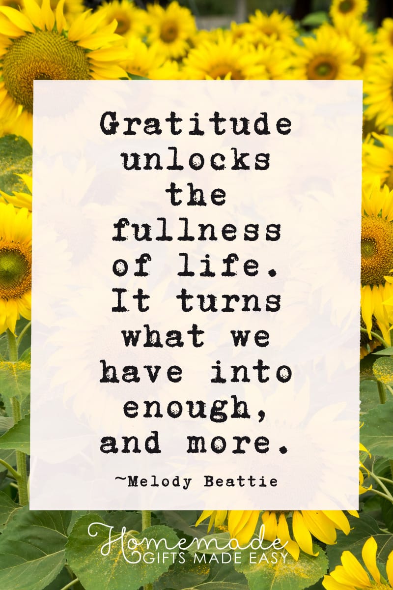 Cute Gratitude Quotes
