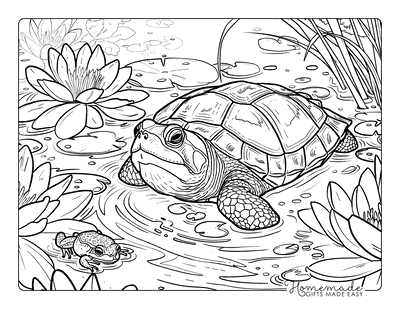 Free Printable Turtle Coloring Pages for Kids and Adults