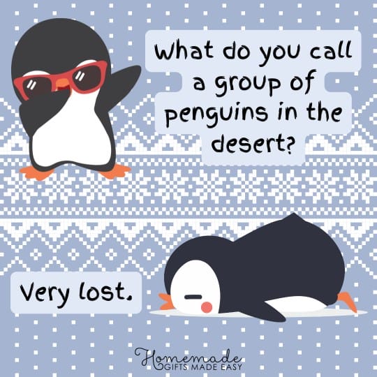 110 Hilariously Funny Winter Jokes for Kids (with Printable jokes)